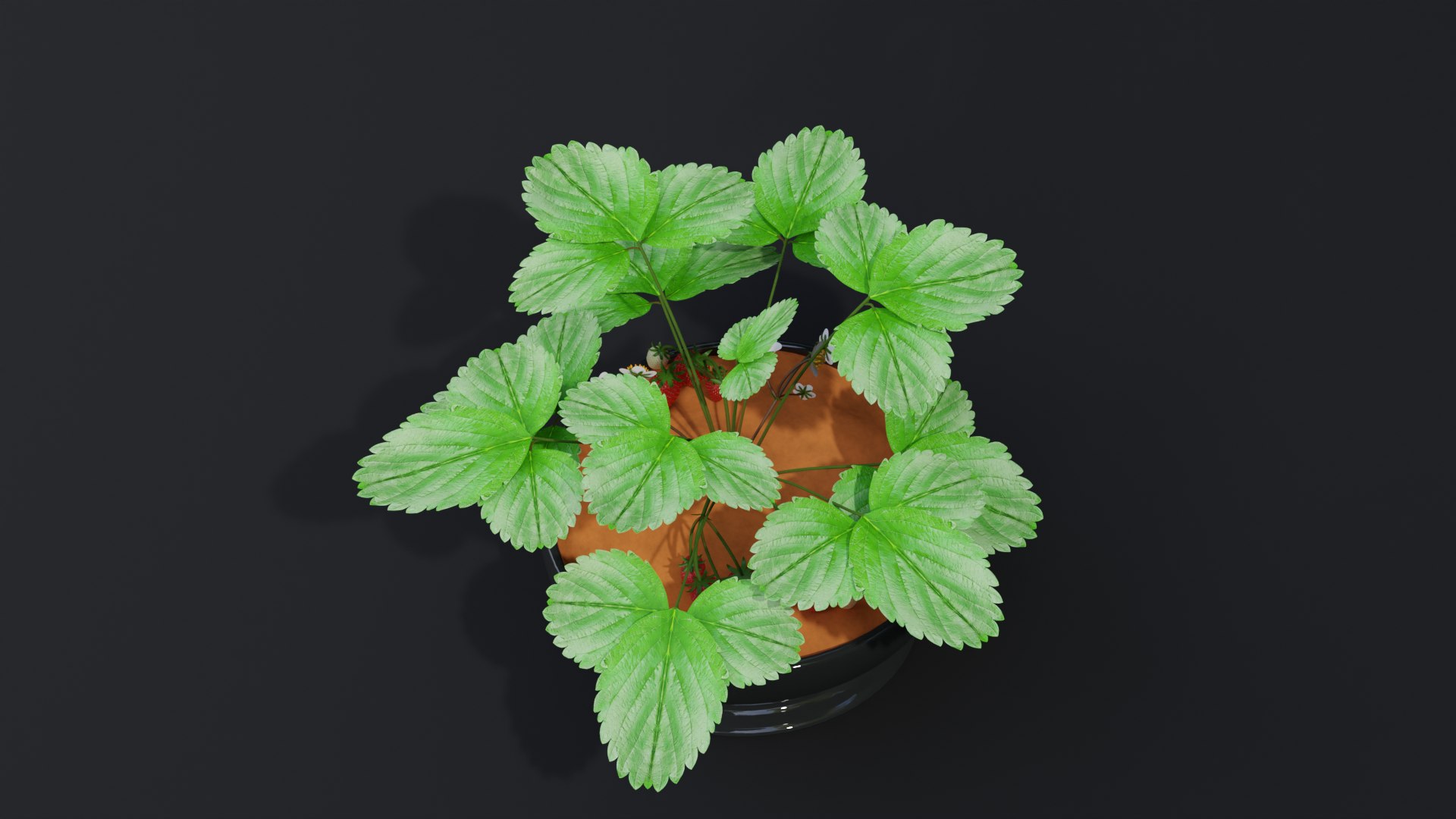 Strawberry Plant model - TurboSquid 2071859