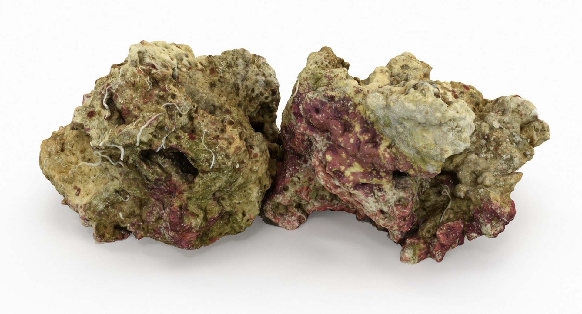 Fiji Rock 3D Model - TurboSquid 1170658