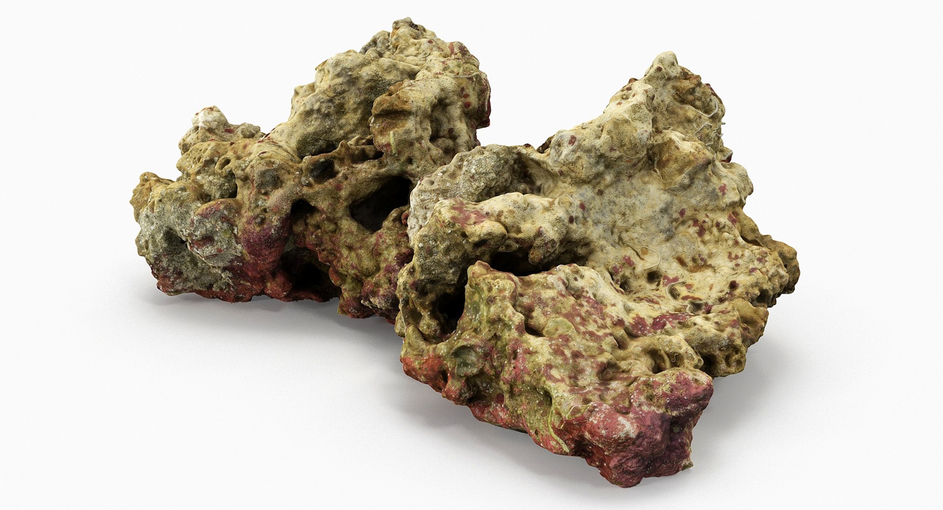 Fiji Rock 3D Model - TurboSquid 1170658