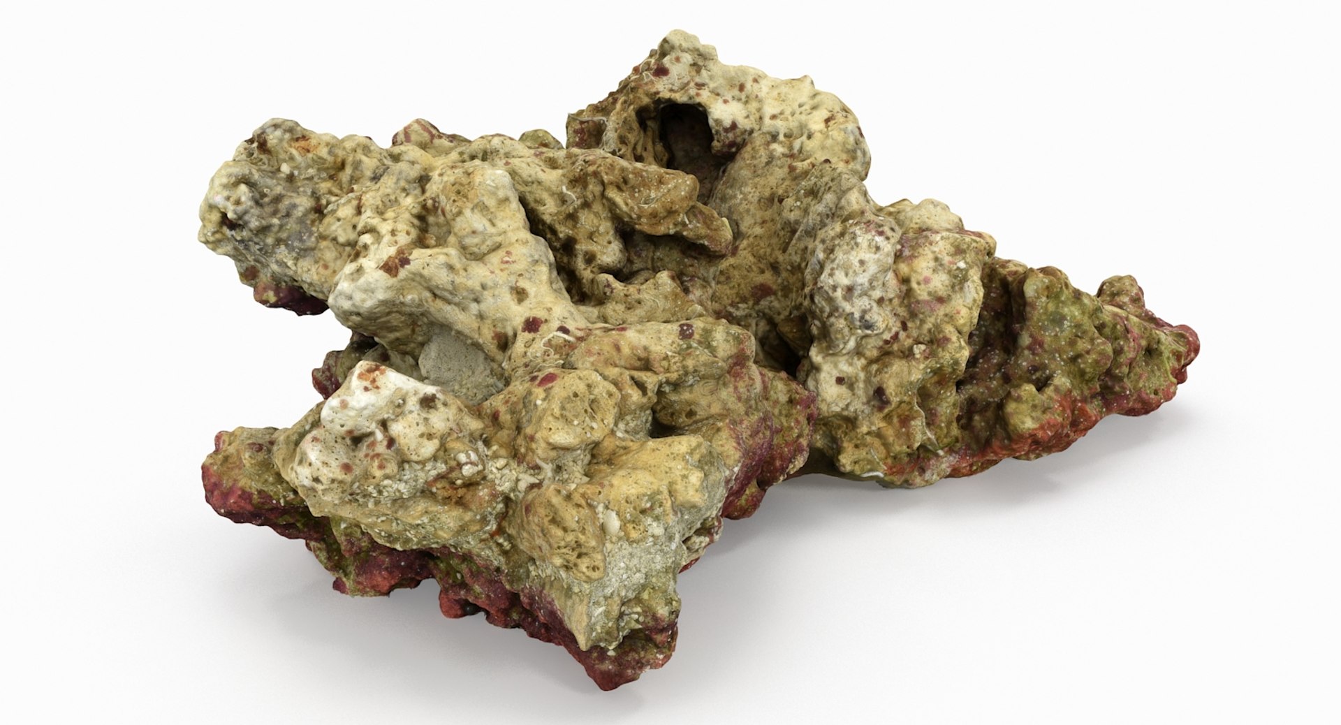 Fiji Rock 3D Model - TurboSquid 1170658