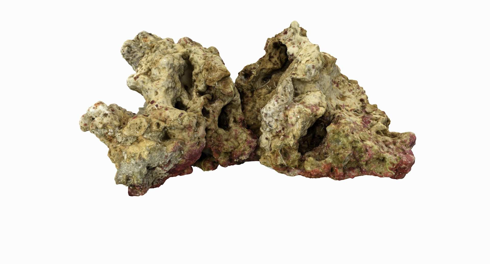 Fiji Rock 3D Model - TurboSquid 1170658