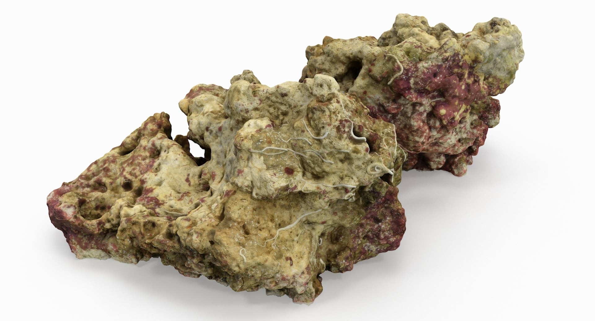 Fiji Rock 3D Model - TurboSquid 1170658