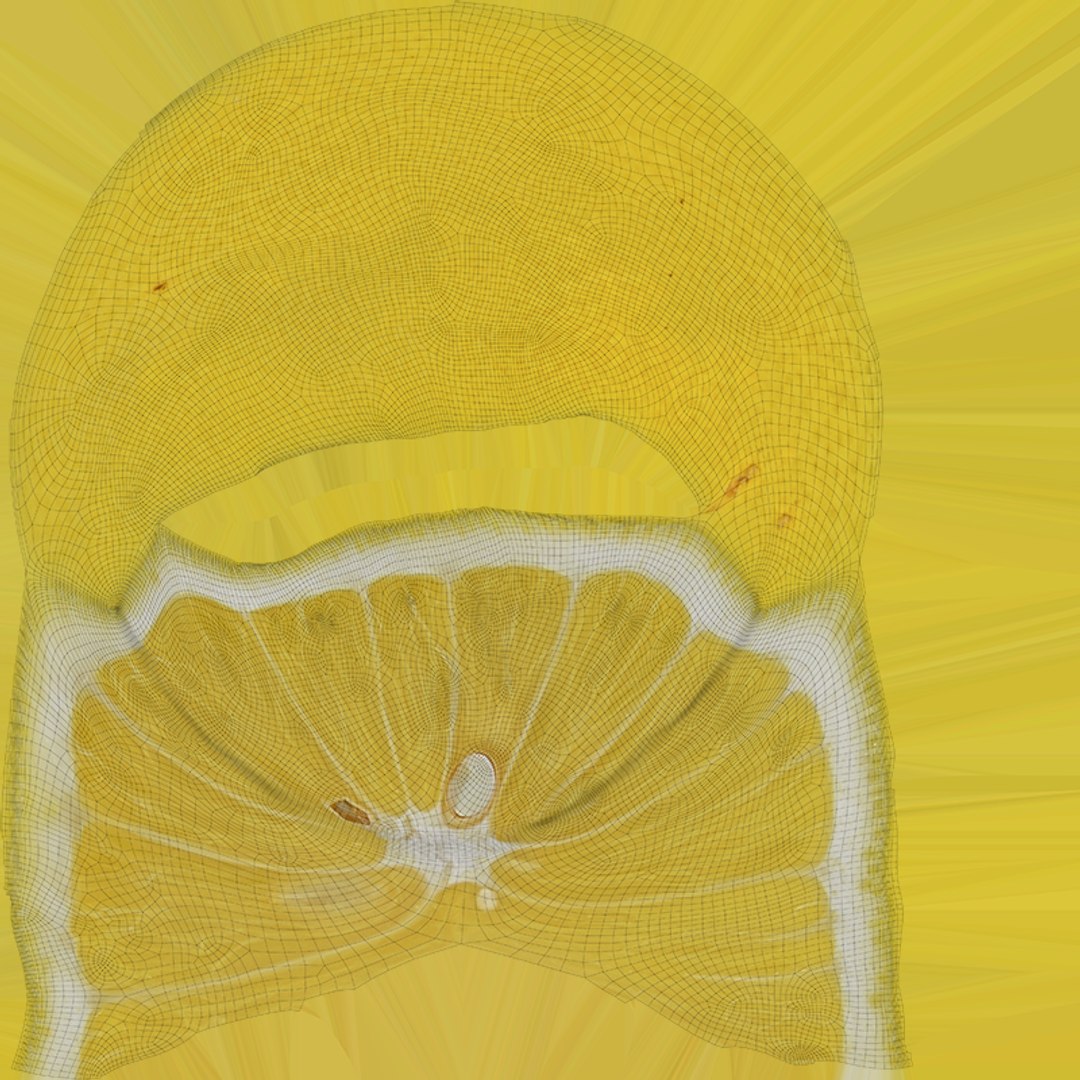 3D Fresh Lemon Slice - TurboSquid 2412599