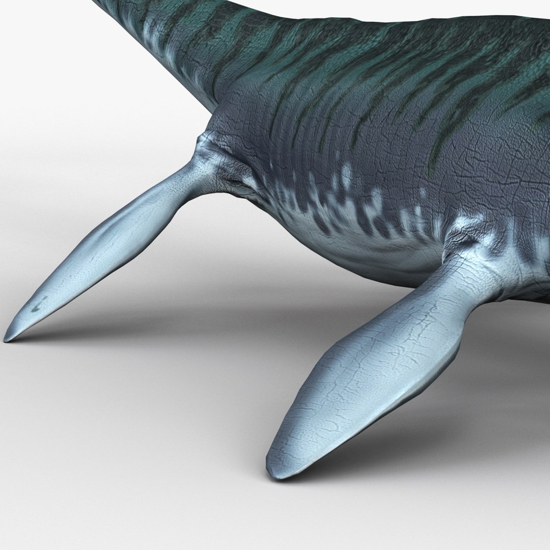 3d Plesiosaur Prehistoric Modeled