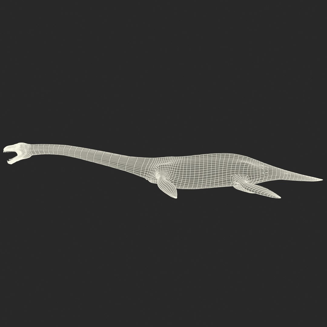 3d Plesiosaur Prehistoric Modeled