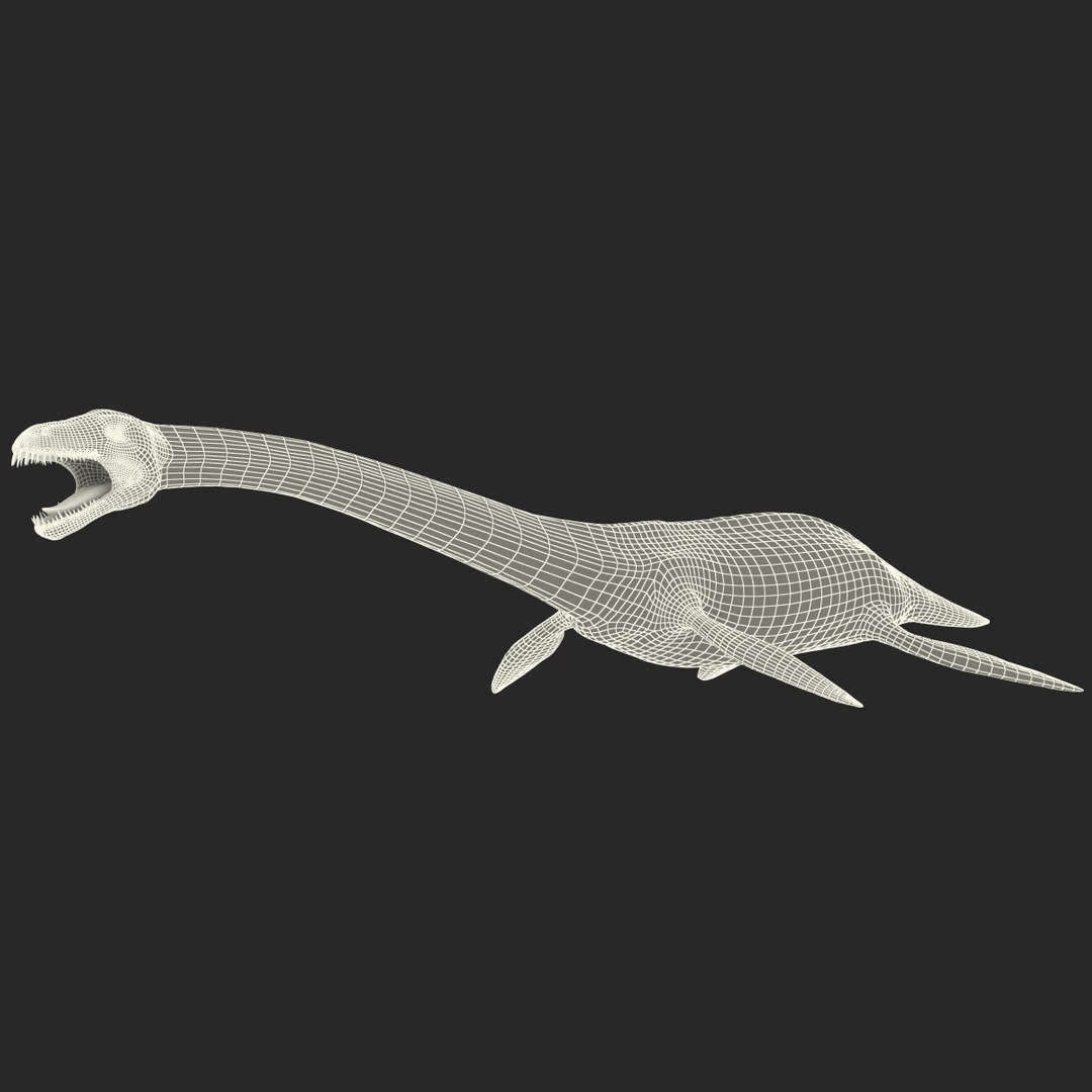 3d Plesiosaur Prehistoric Modeled