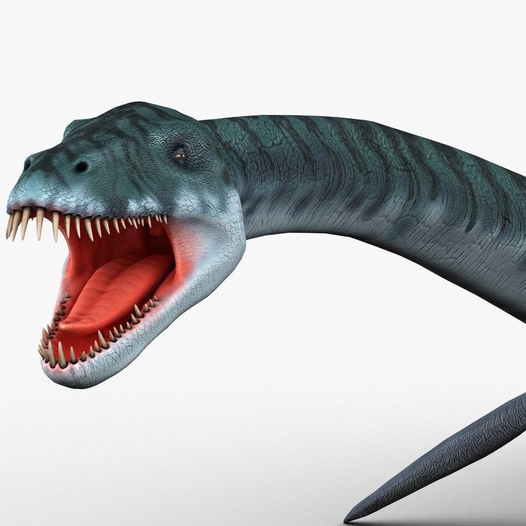 3d Plesiosaur Prehistoric Modeled
