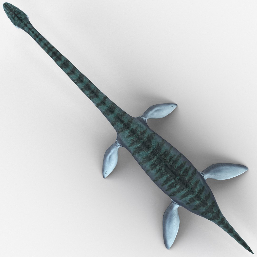 3d Plesiosaur Prehistoric Modeled