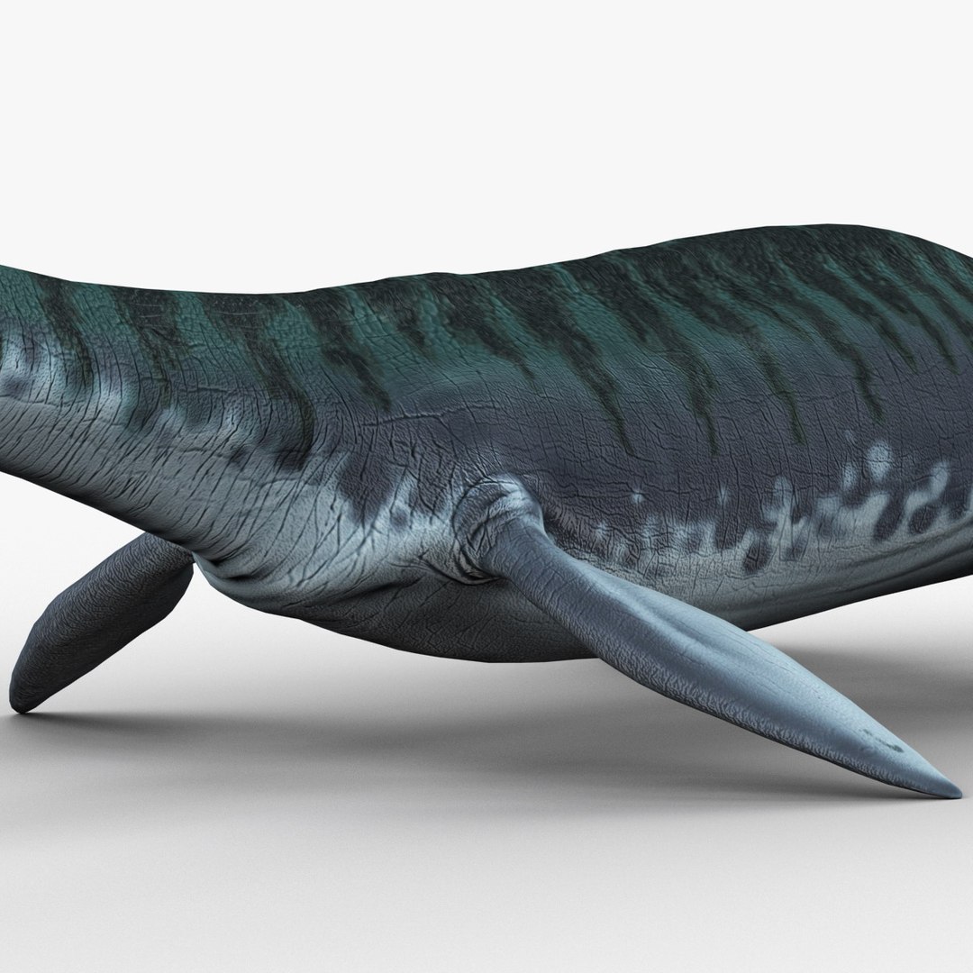 3d Plesiosaur Prehistoric Modeled