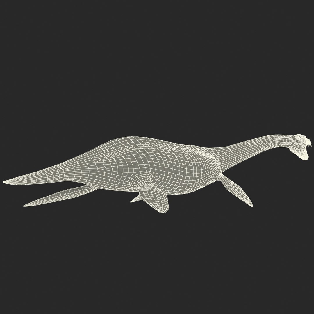 3d Plesiosaur Prehistoric Modeled