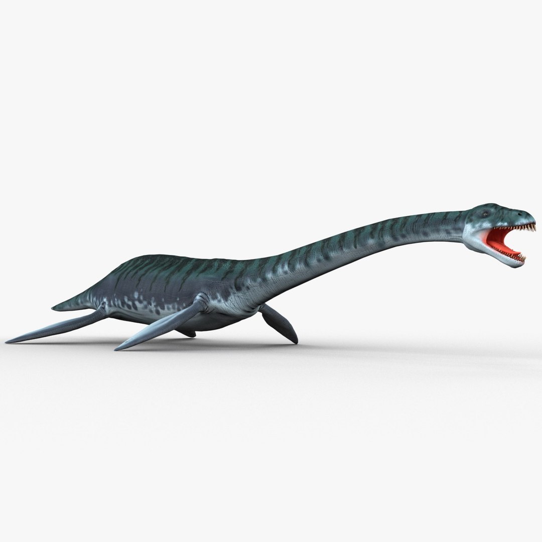 3d Plesiosaur Prehistoric Modeled