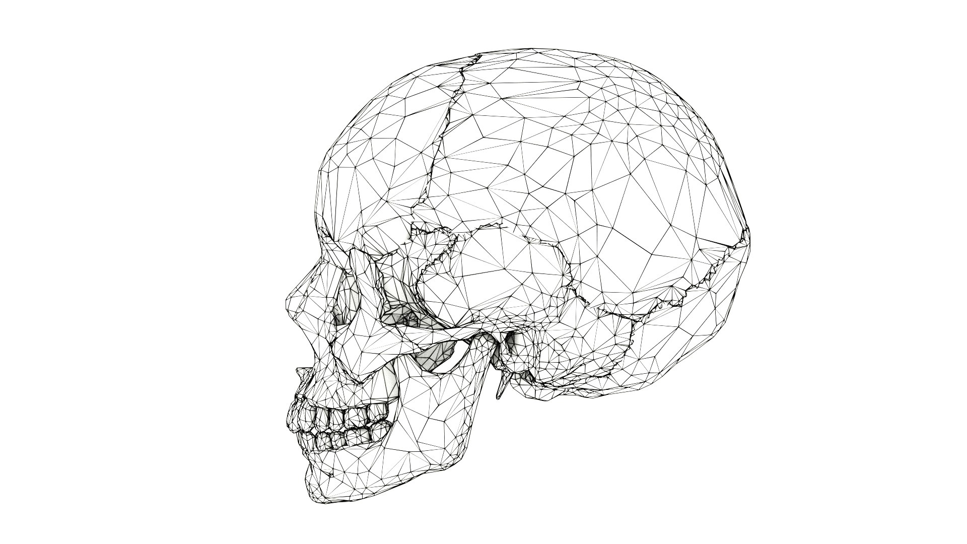 3D X-rays Anatomy - TurboSquid 1622480