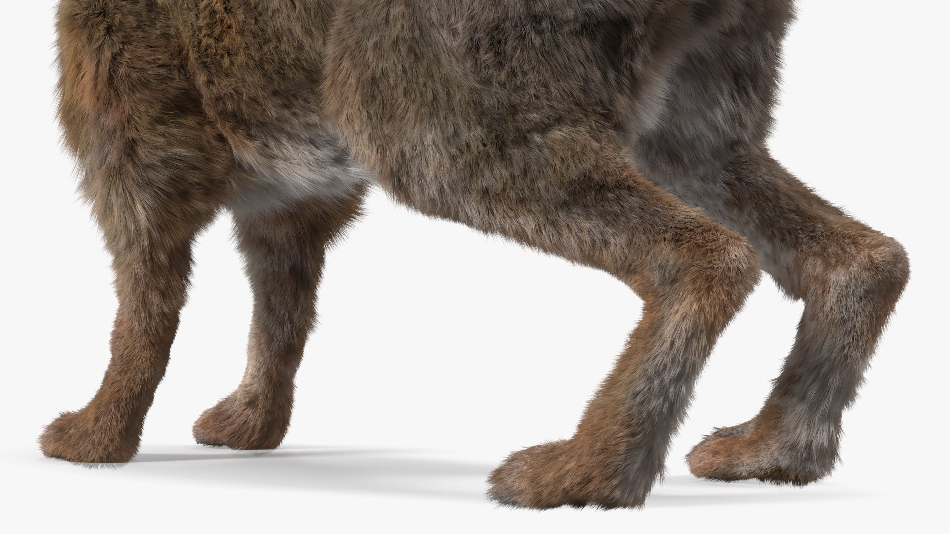 European Hare Fur 3D - TurboSquid 2128323