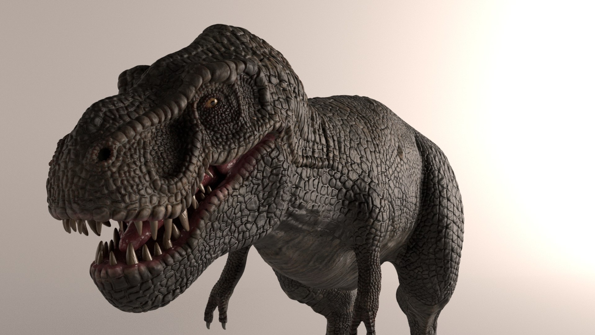 3D model descendant tyrannosaurus rex magnus - TurboSquid 1530281