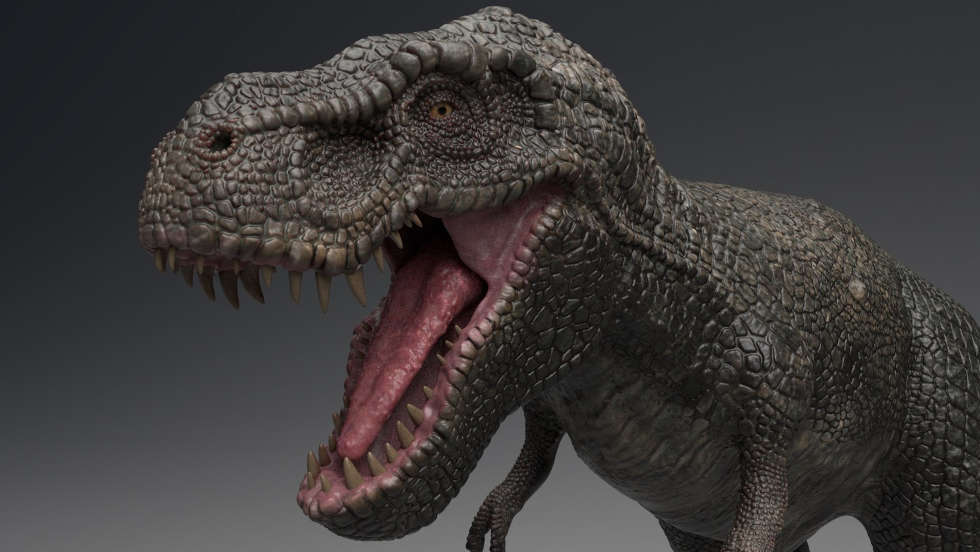 3D model descendant tyrannosaurus rex magnus - TurboSquid 1530281
