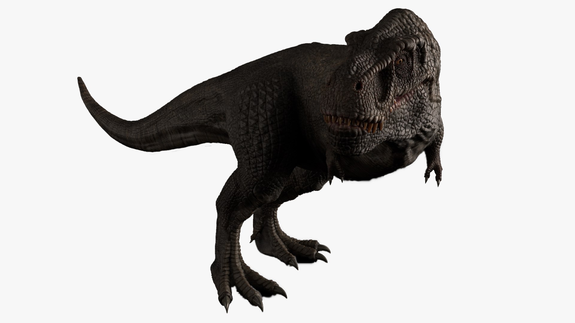 3D Model Descendant Tyrannosaurus Rex Magnus - TurboSquid 1530281