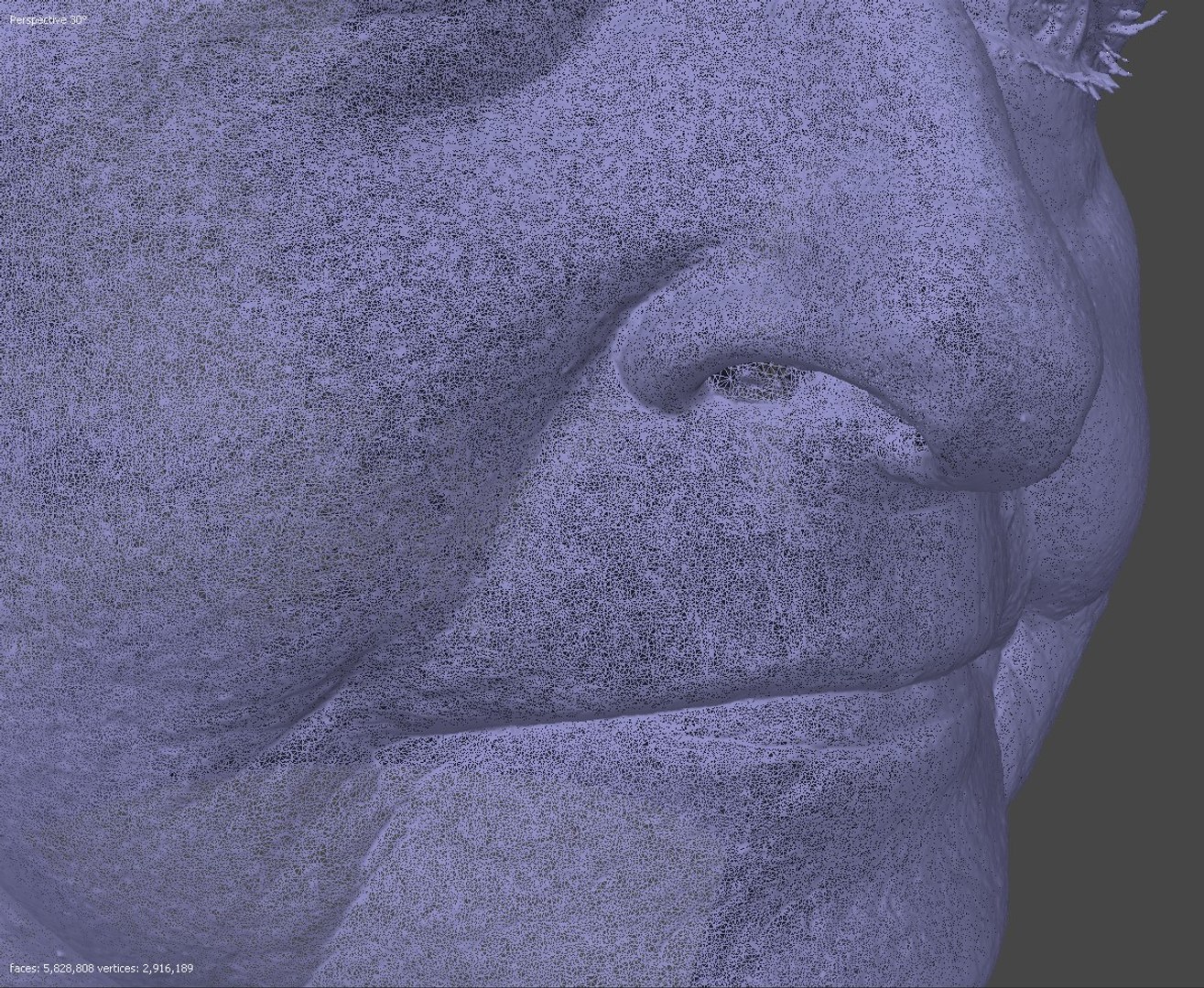 3D Female Face Scan Model - TurboSquid 2102094