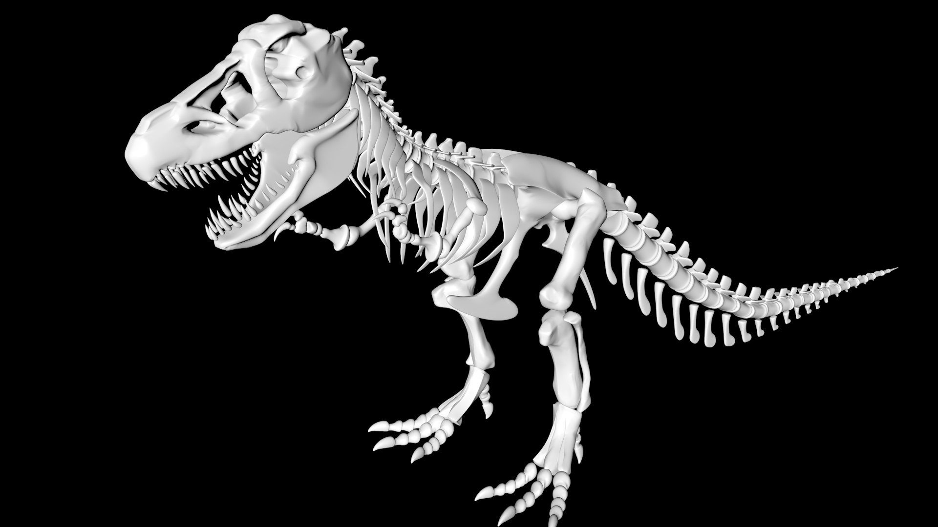 Tyrannosaurus Rex Skeleton 3D Model - TurboSquid 1690051