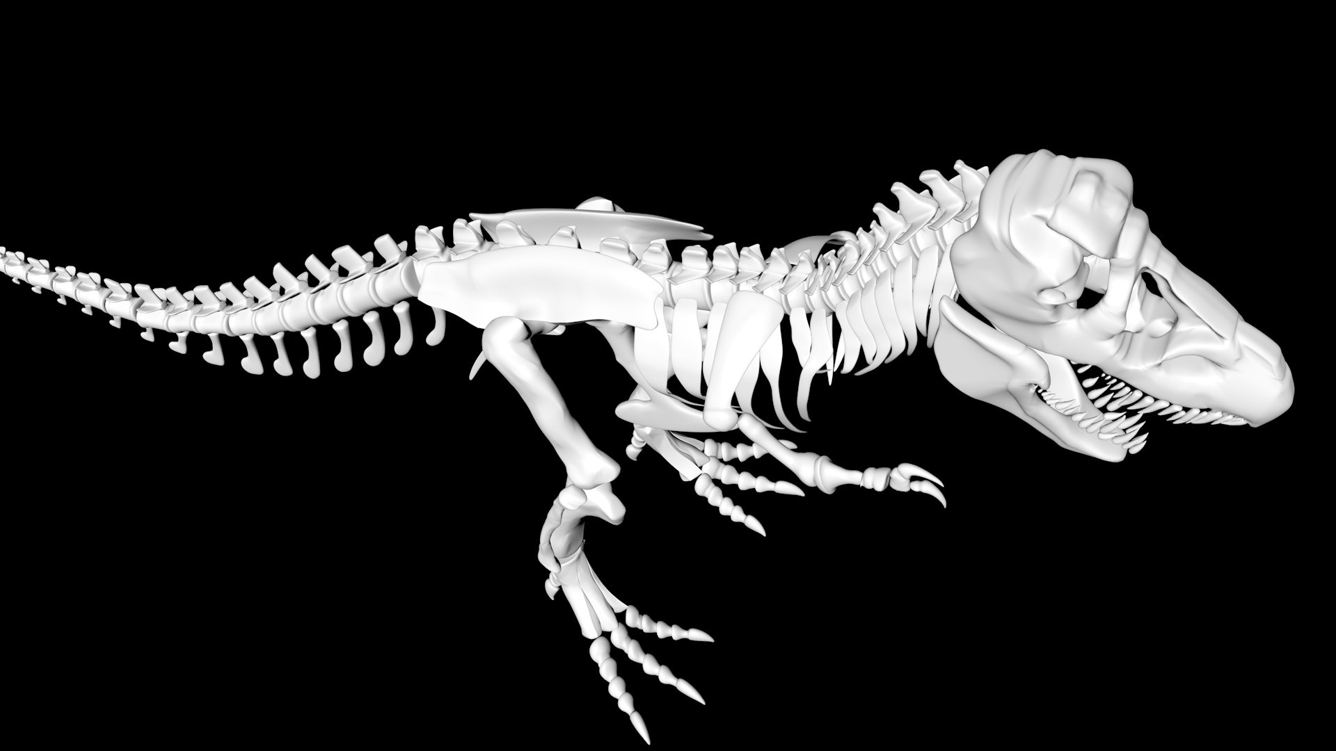 Tyrannosaurus Rex Skeleton 3D Model - TurboSquid 1690051