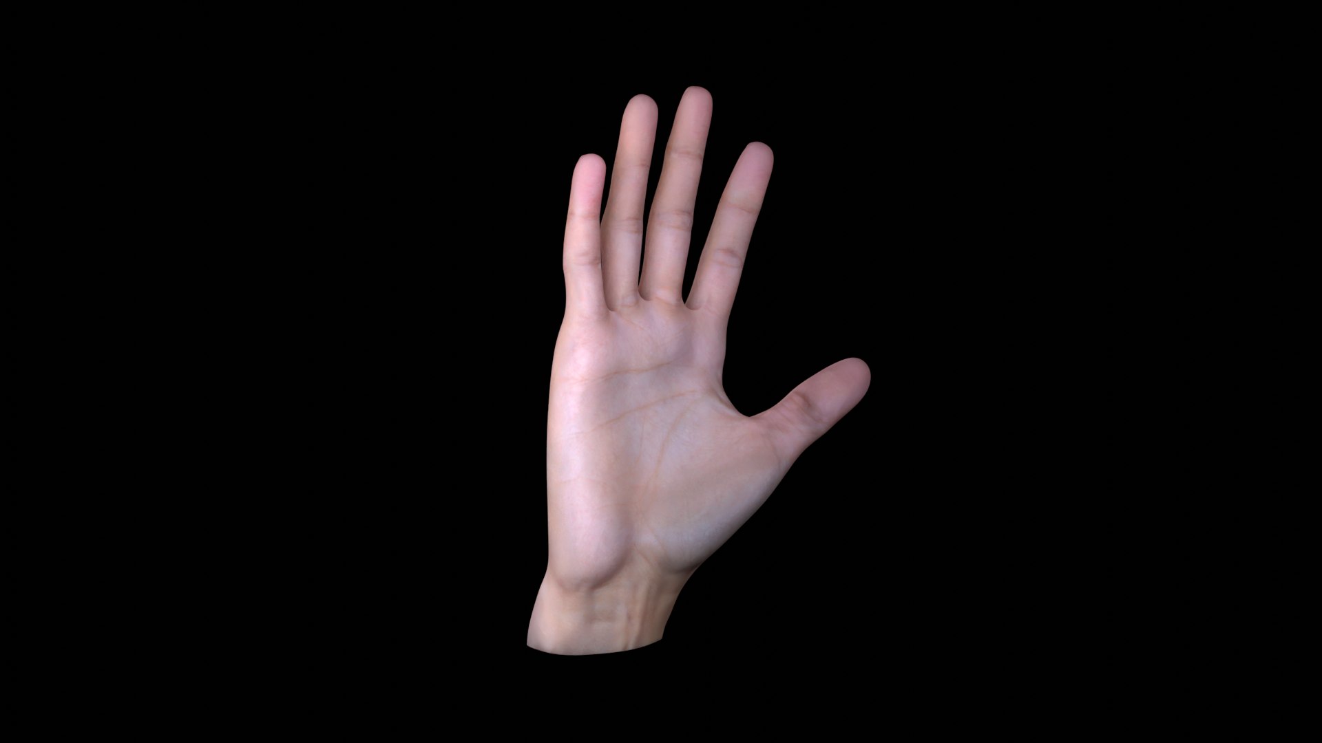 Human Hand 3D - TurboSquid 1751403