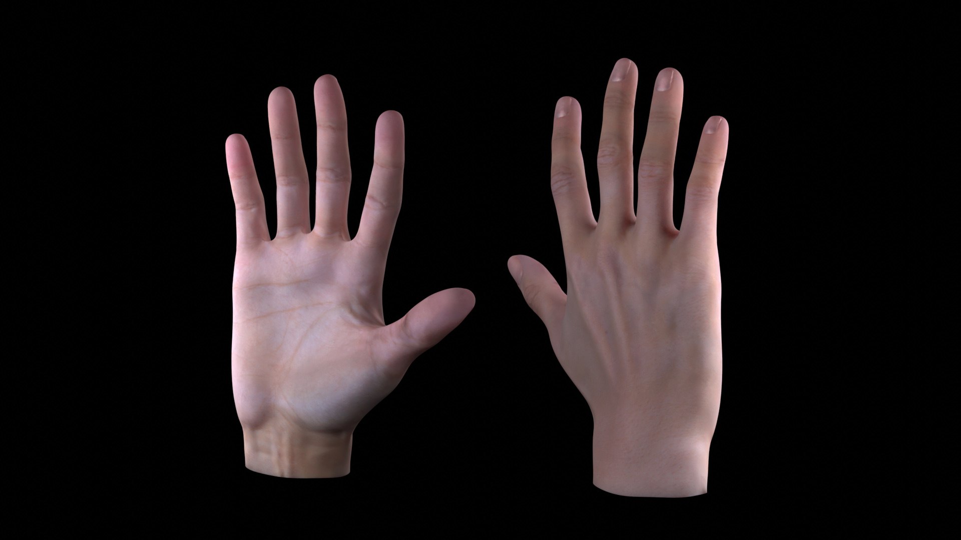 Human Hand 3D - TurboSquid 1751403