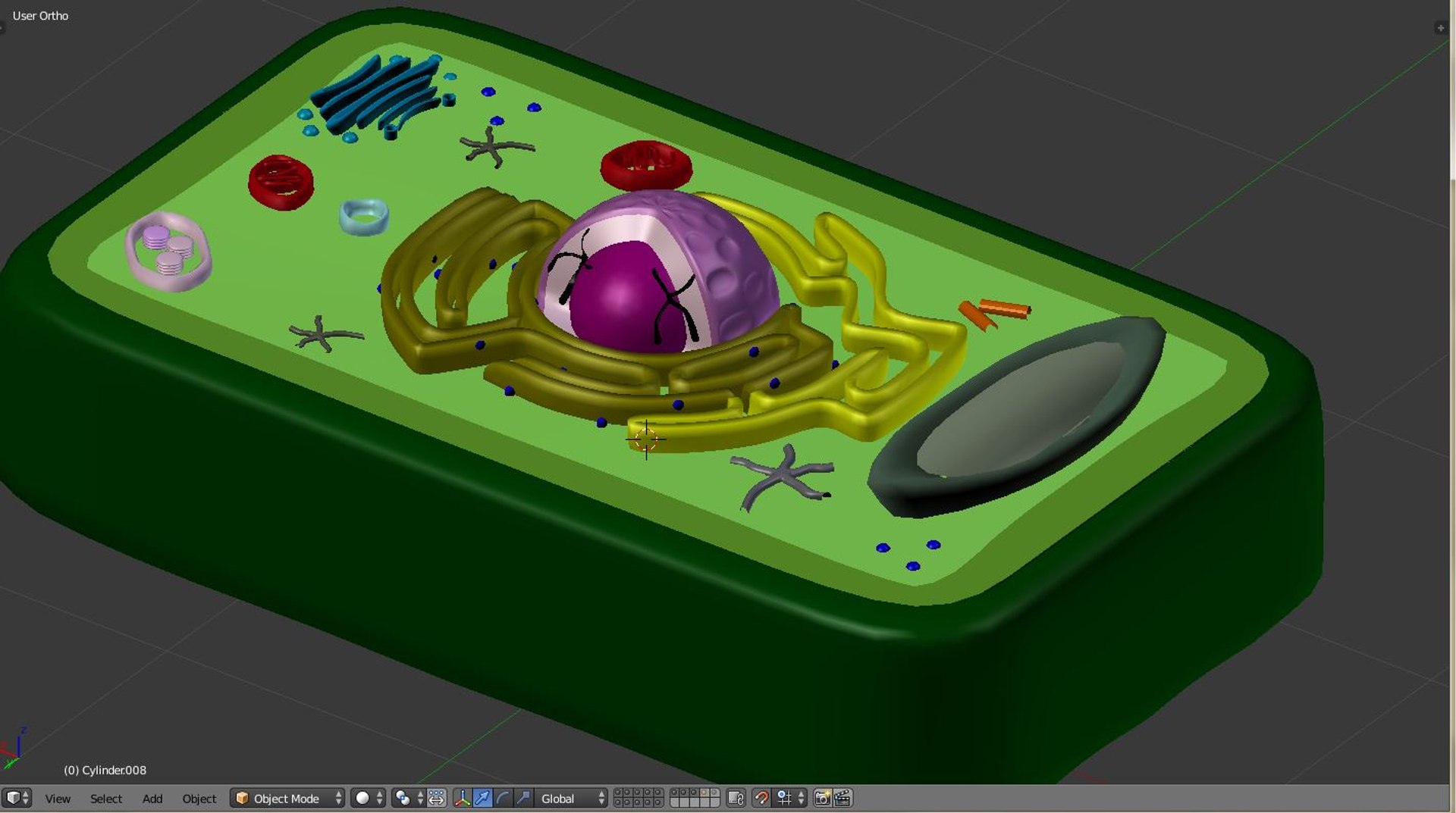 Plant Cell 3d Model