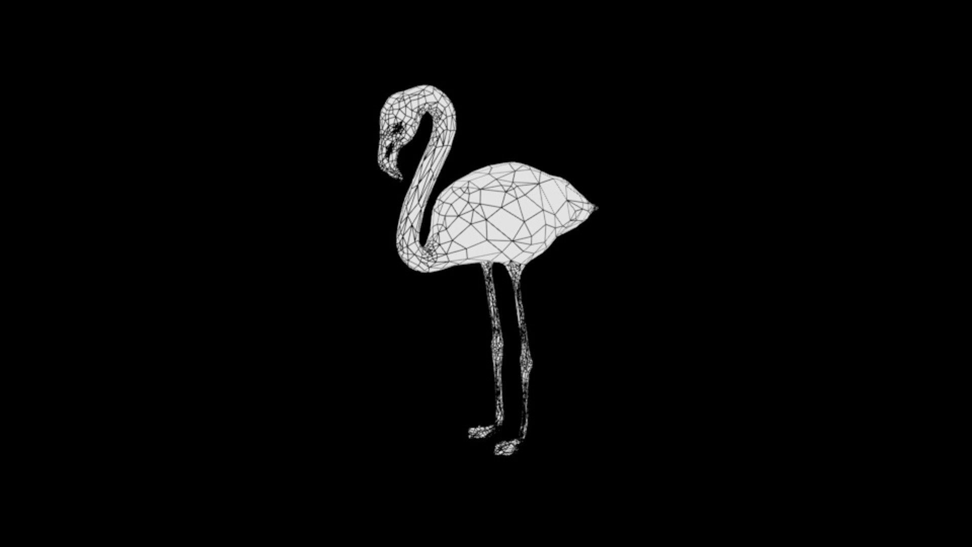 3D Flamingo Rigged Model - TurboSquid 1581362