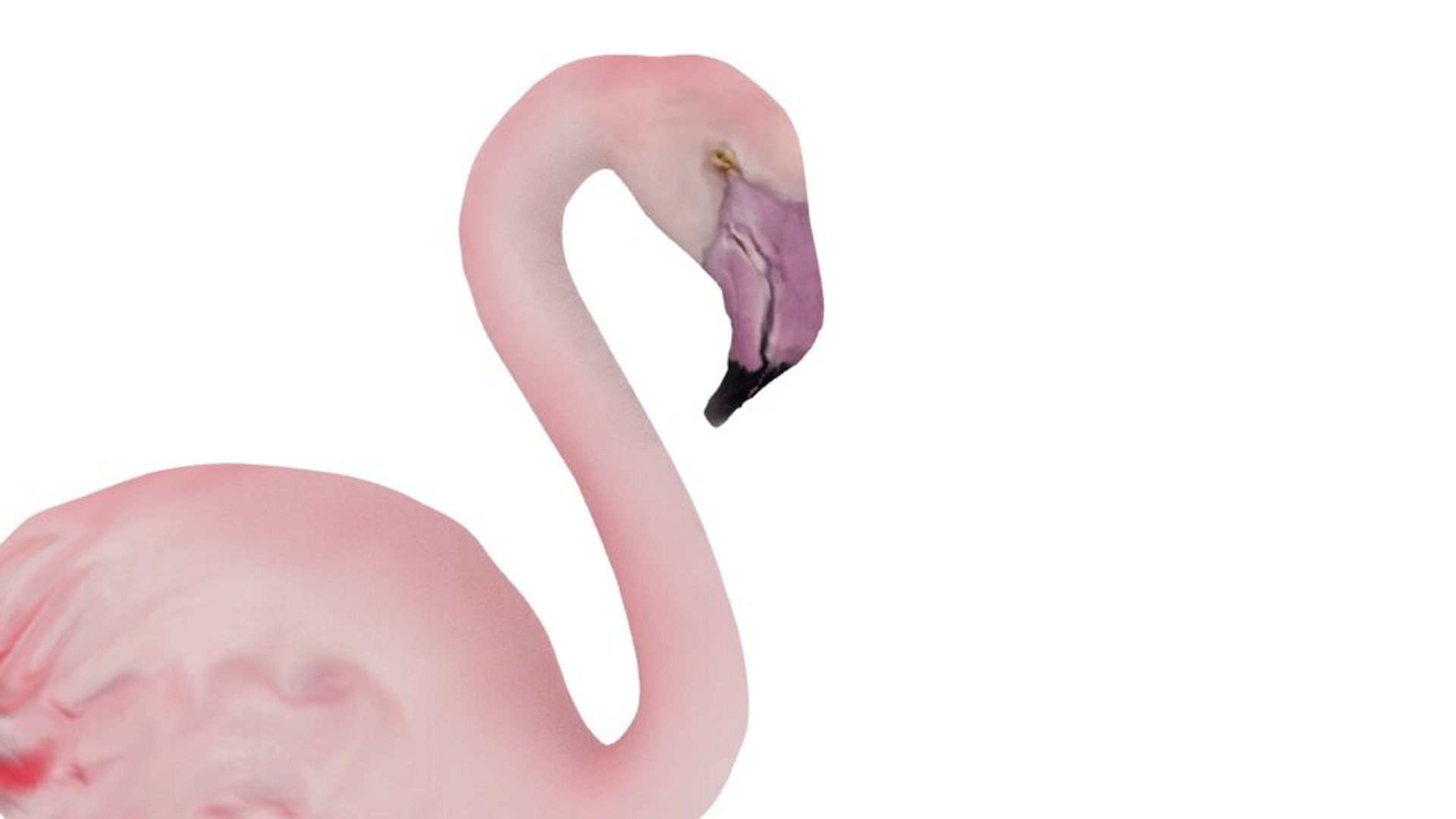 3D Flamingo Rigged Model - TurboSquid 1581362
