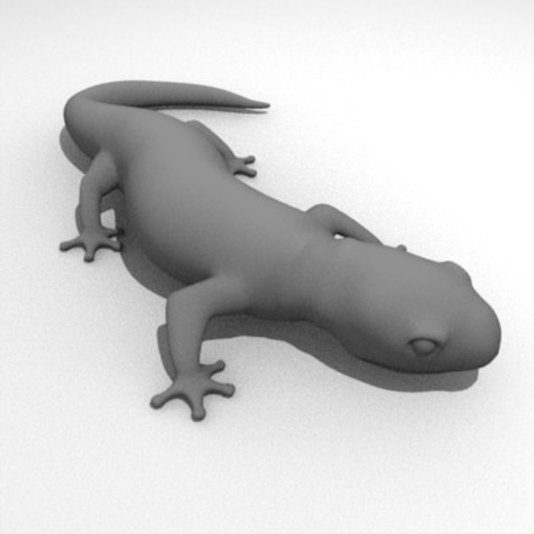 3d Model Salamander