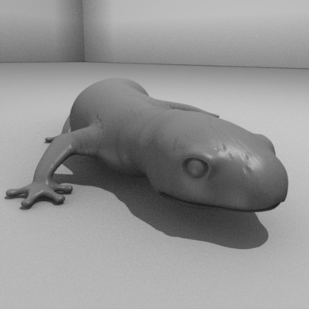 3d Model Salamander