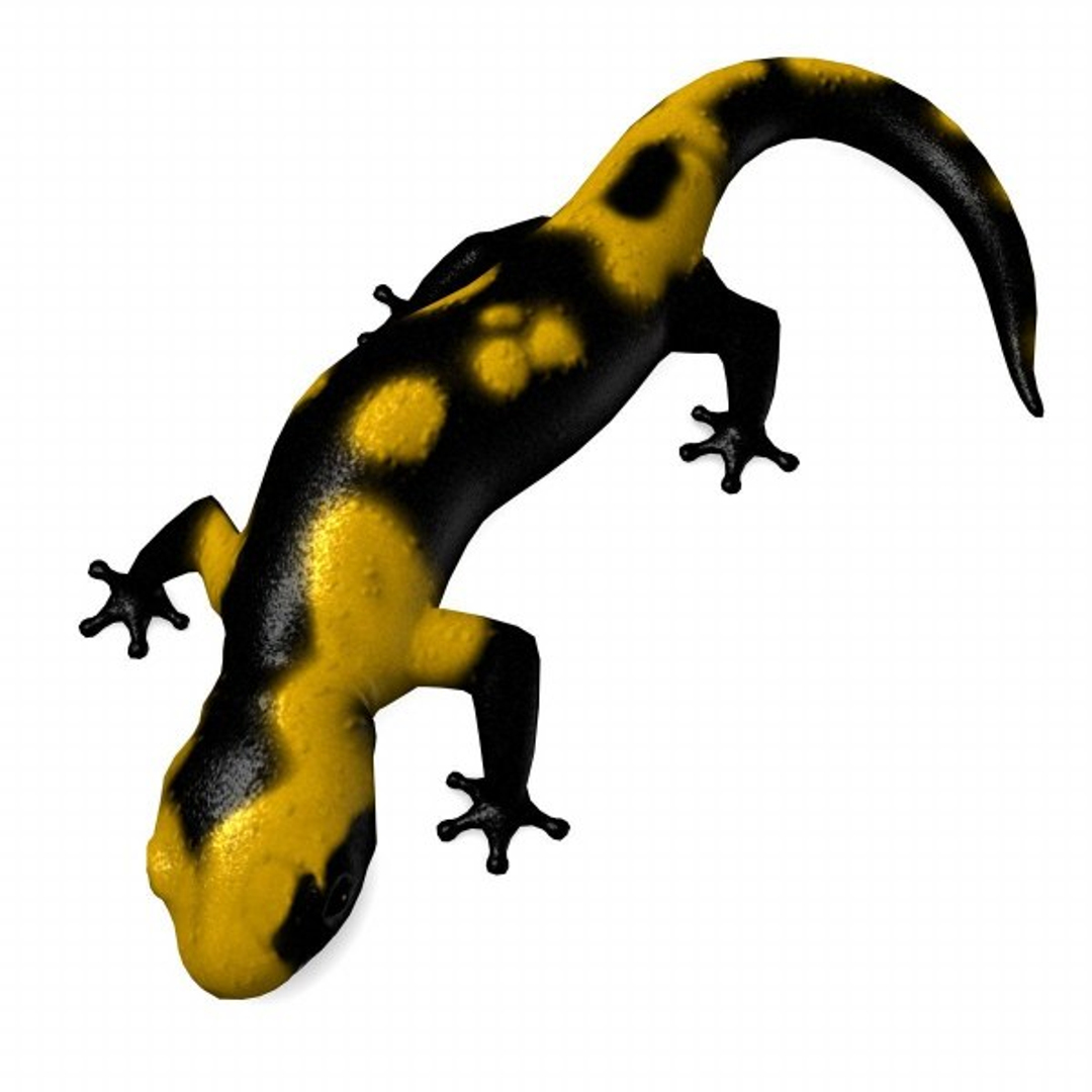 3d model salamander