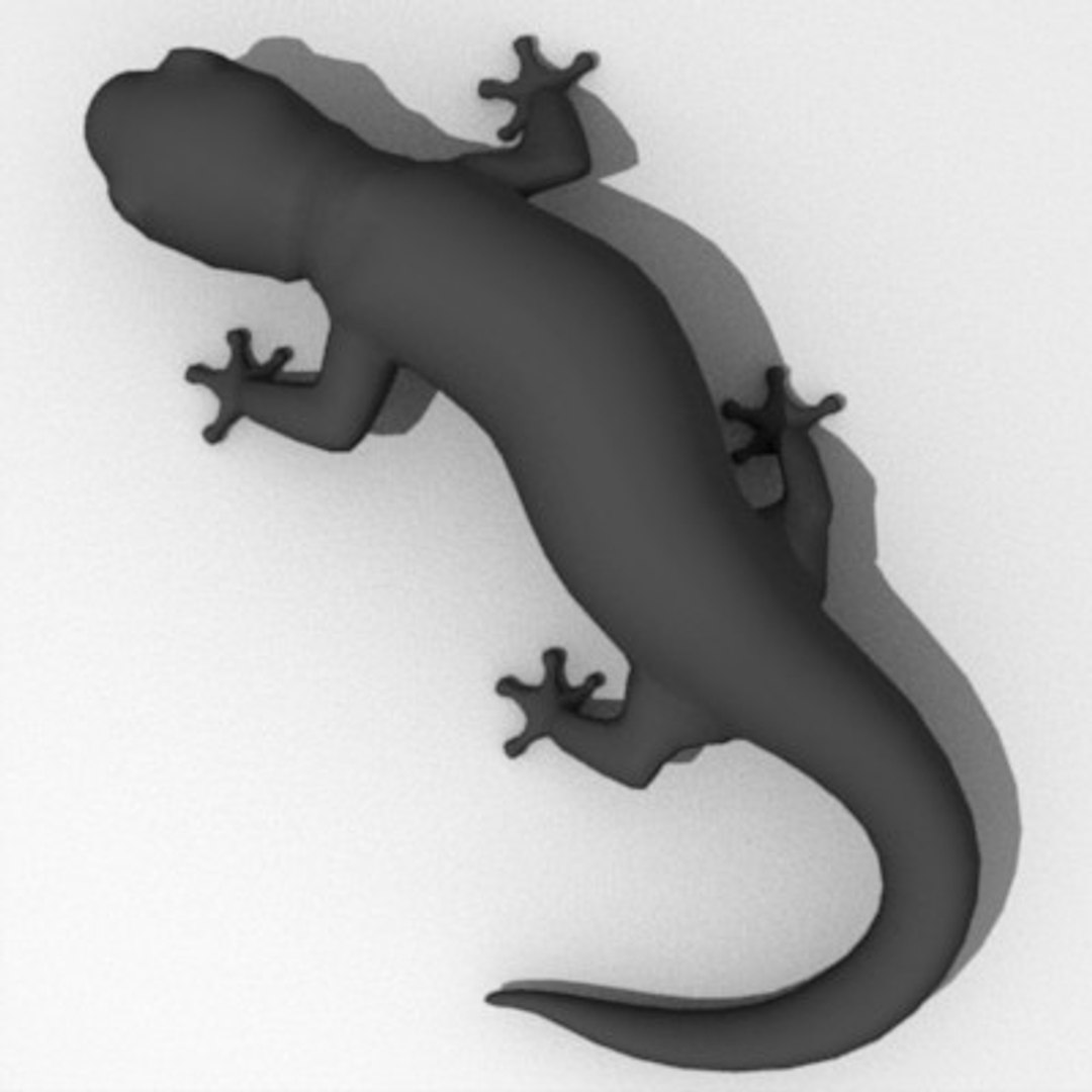 3d Model Salamander