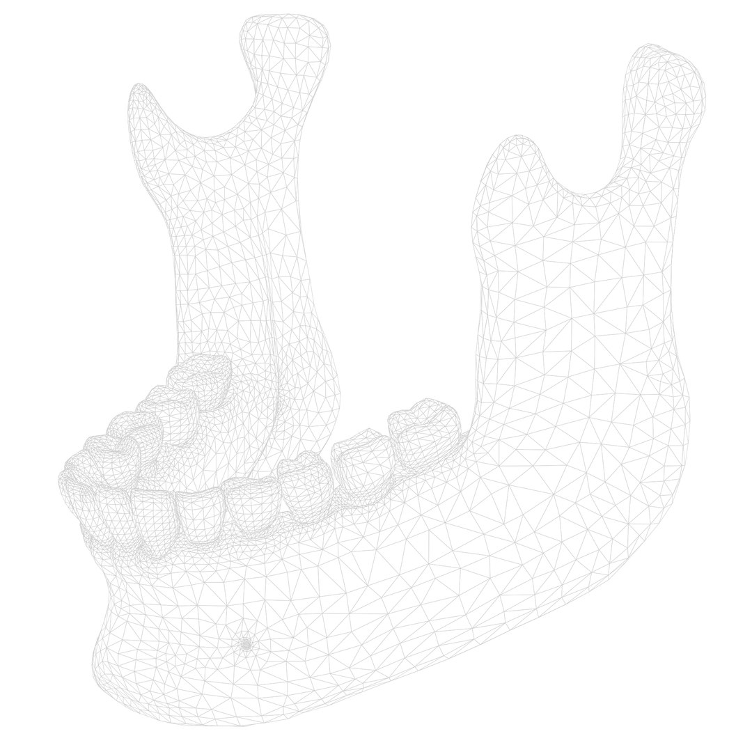 Human Jaw Anatomy 3D - TurboSquid 1808724