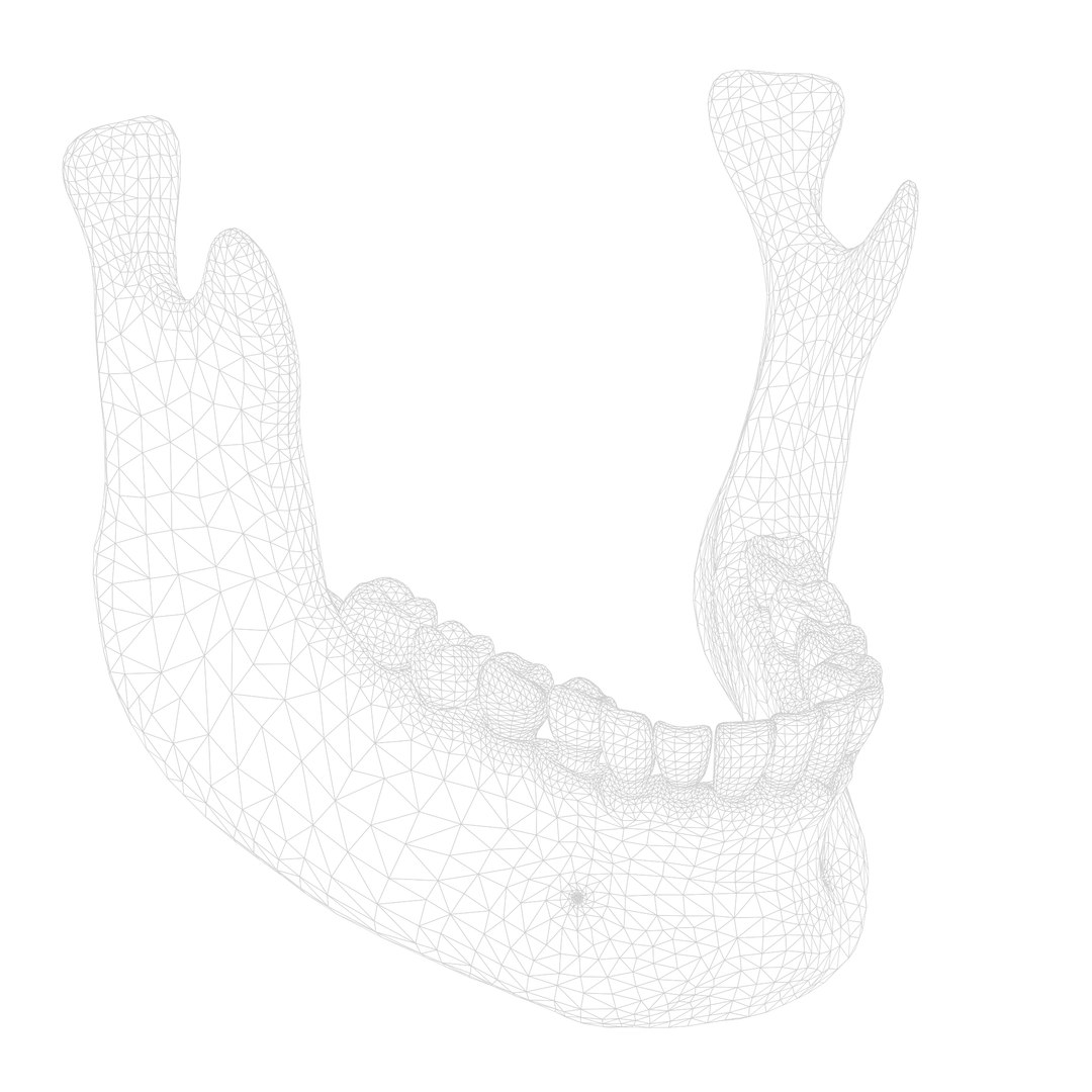 Human Jaw Anatomy 3D - TurboSquid 1808724