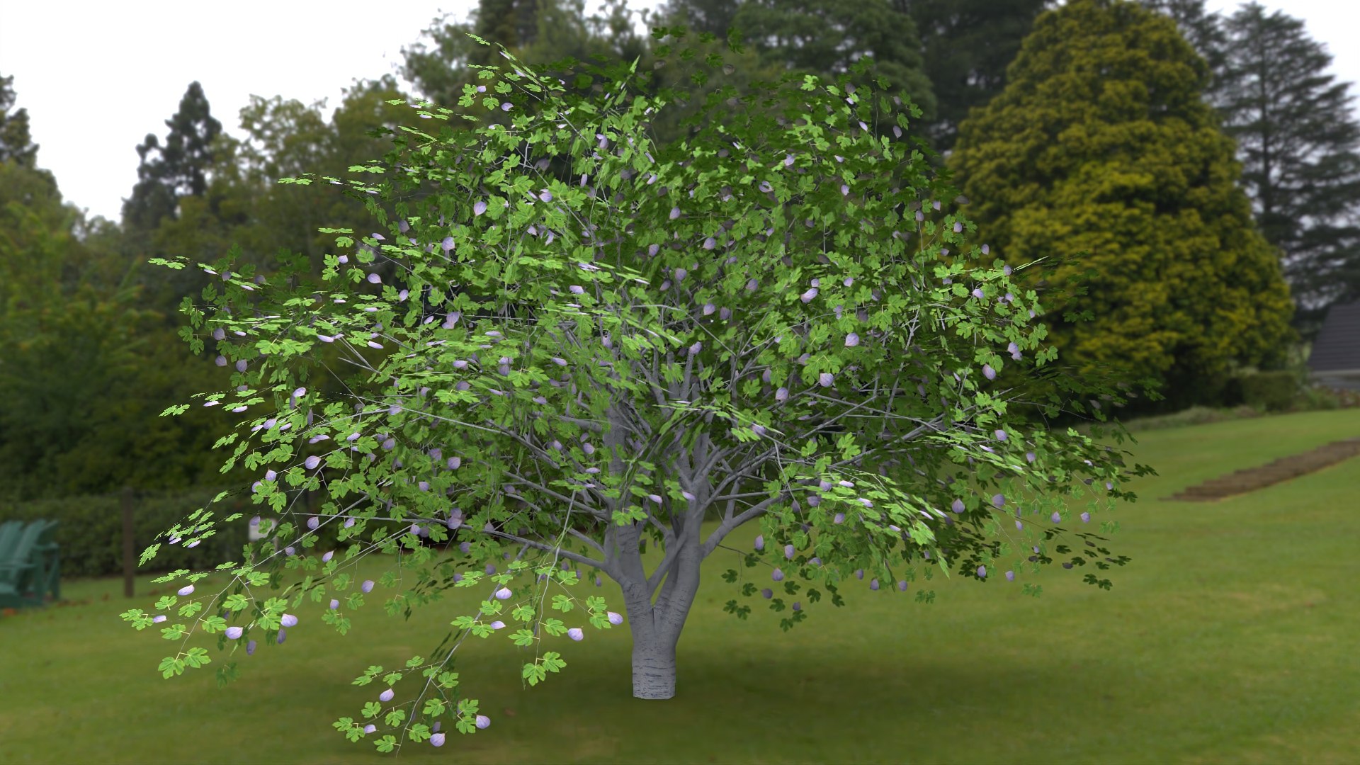 3D Fig Fruits Model - TurboSquid 1627643