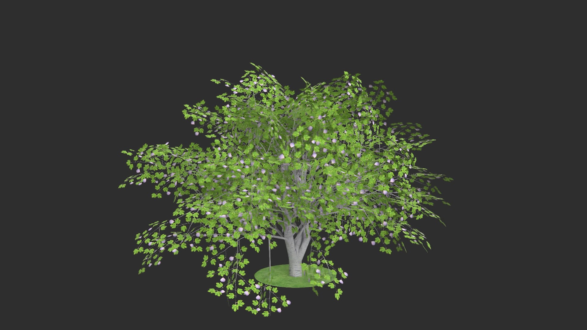 3D Fig Fruits Model - TurboSquid 1627643