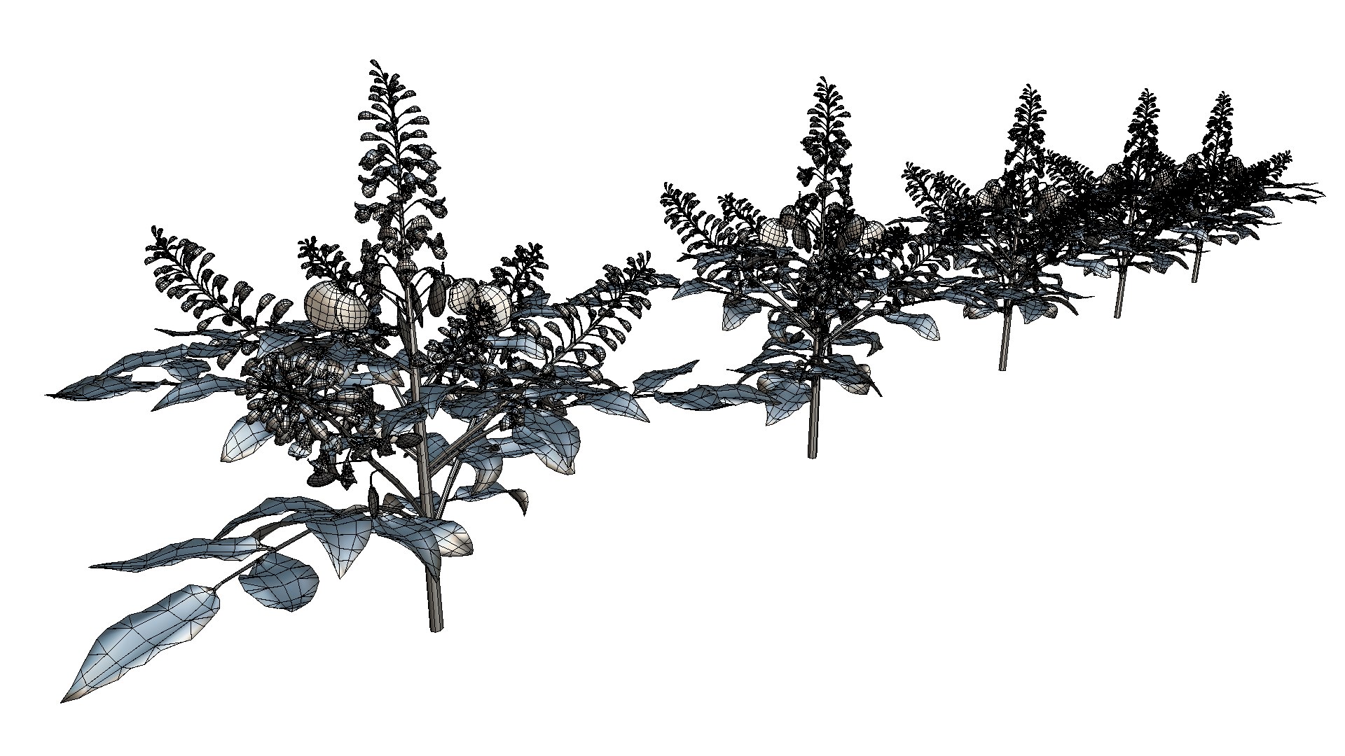 3D model Flower Pterocarpus Indicus - TurboSquid 2132167