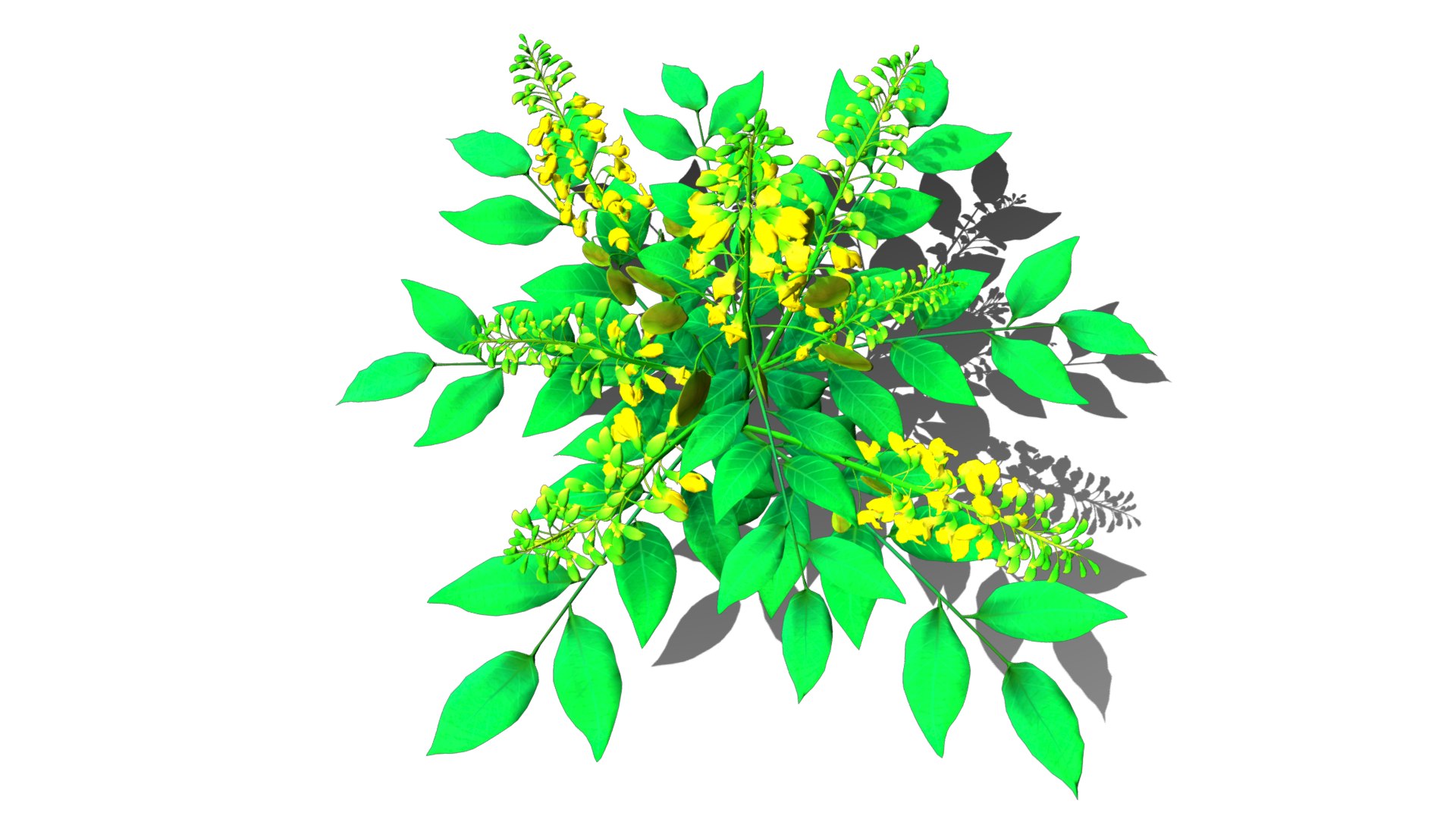 3D model Flower Pterocarpus Indicus - TurboSquid 2132167