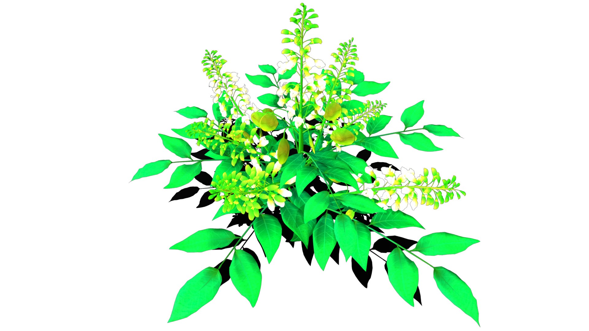 3D model Flower Pterocarpus Indicus - TurboSquid 2132167