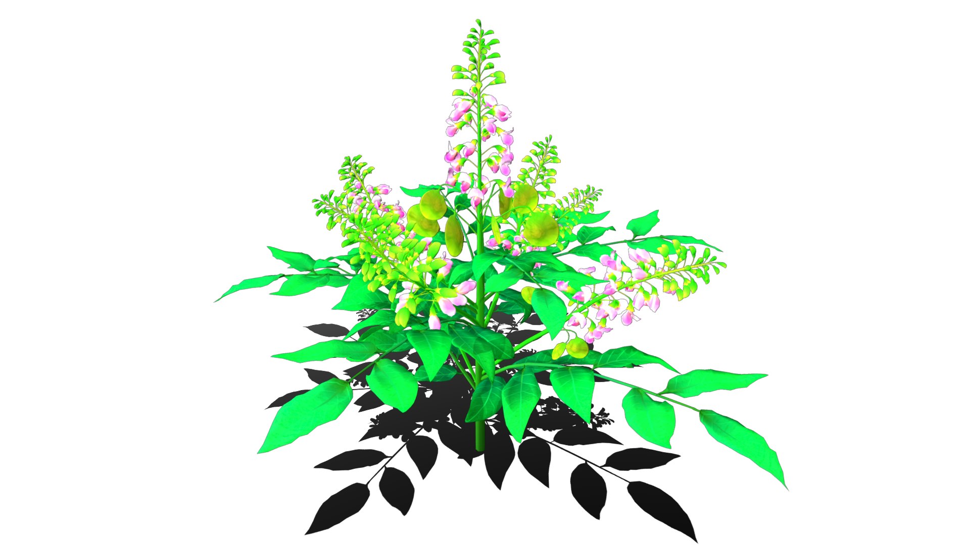 3D model Flower Pterocarpus Indicus - TurboSquid 2132167