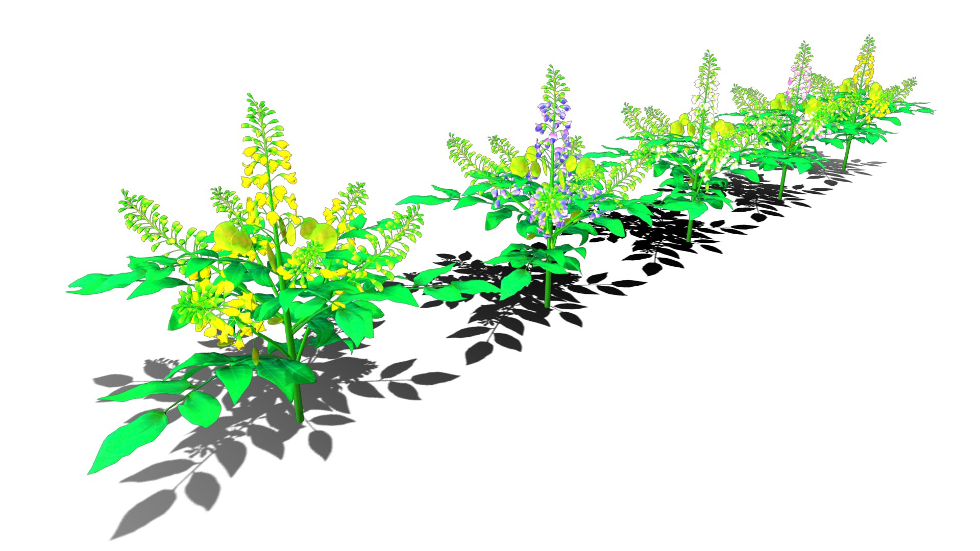 3D model Flower Pterocarpus Indicus - TurboSquid 2132167