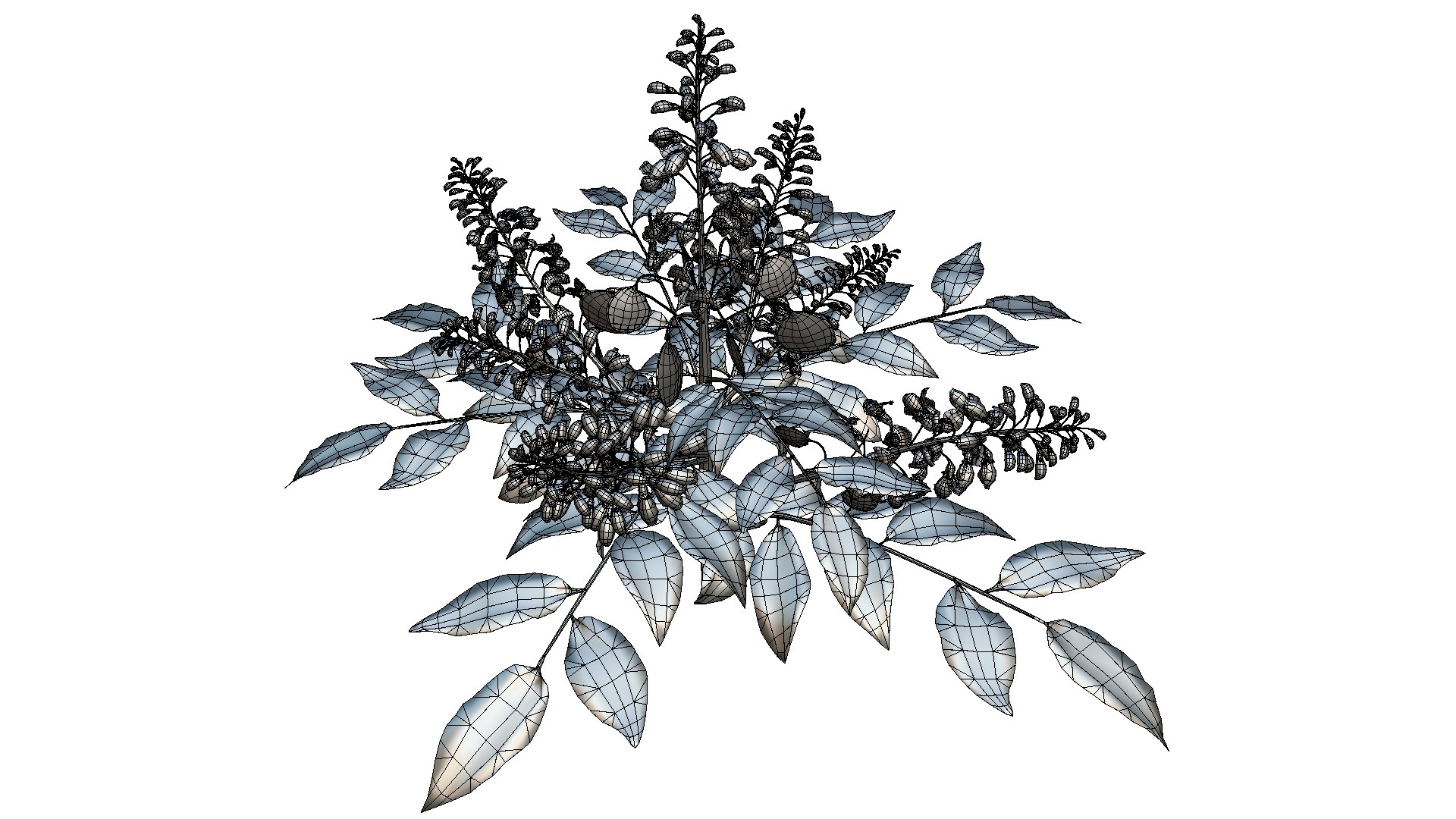 3D model Flower Pterocarpus Indicus - TurboSquid 2132167