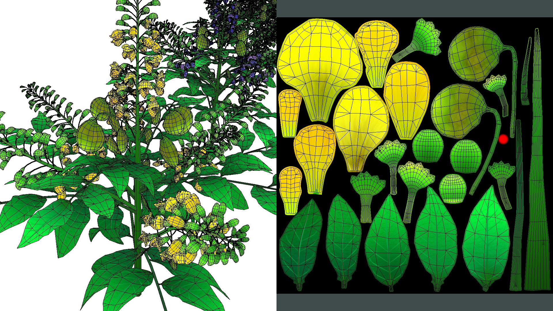 3D model Flower Pterocarpus Indicus - TurboSquid 2132167