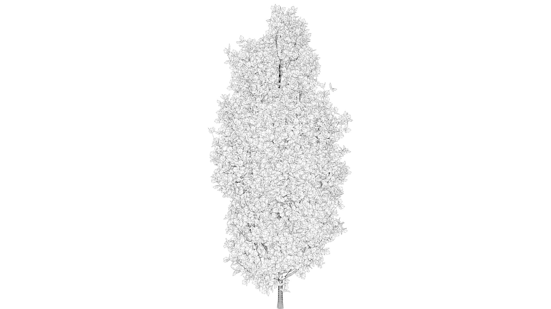 3D Cypress Oak Tree - 09 - Model - TurboSquid 2375802