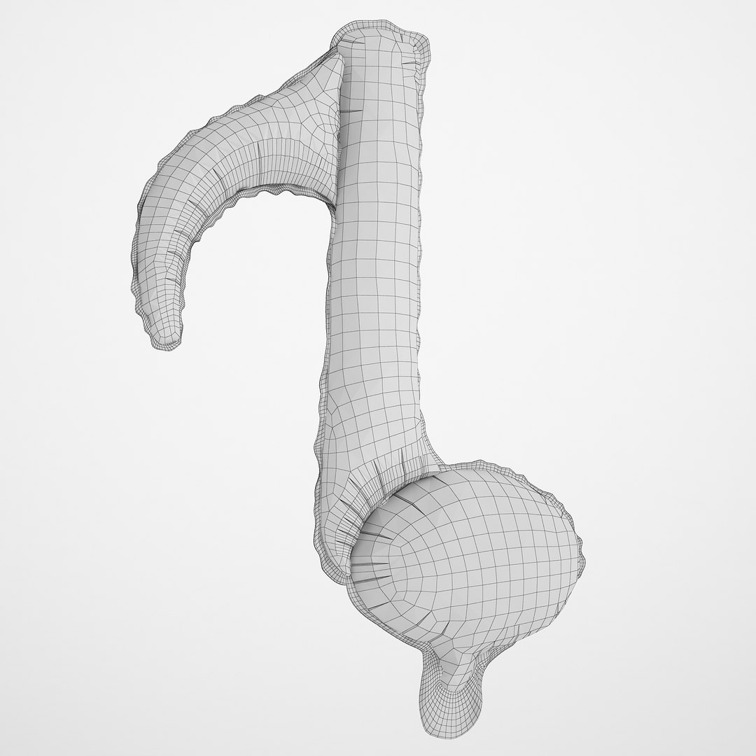 3D Foil Balloon Note Model - TurboSquid 1455655