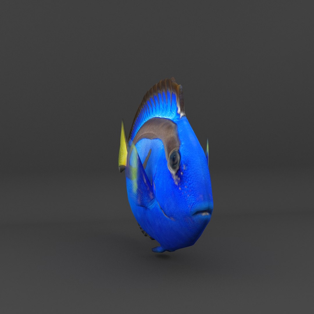 Maya Fish Animation