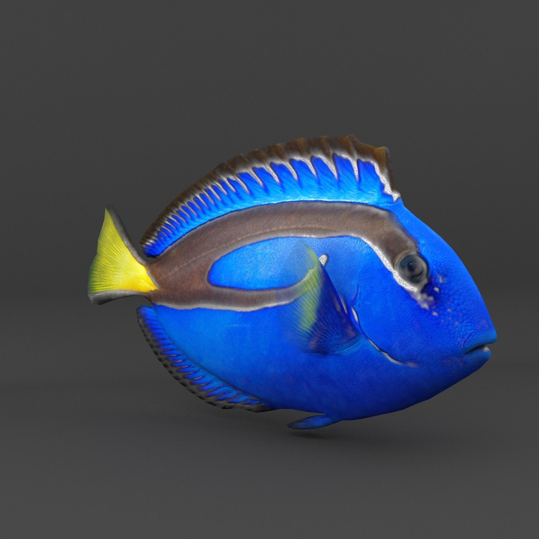 Maya Fish Animation