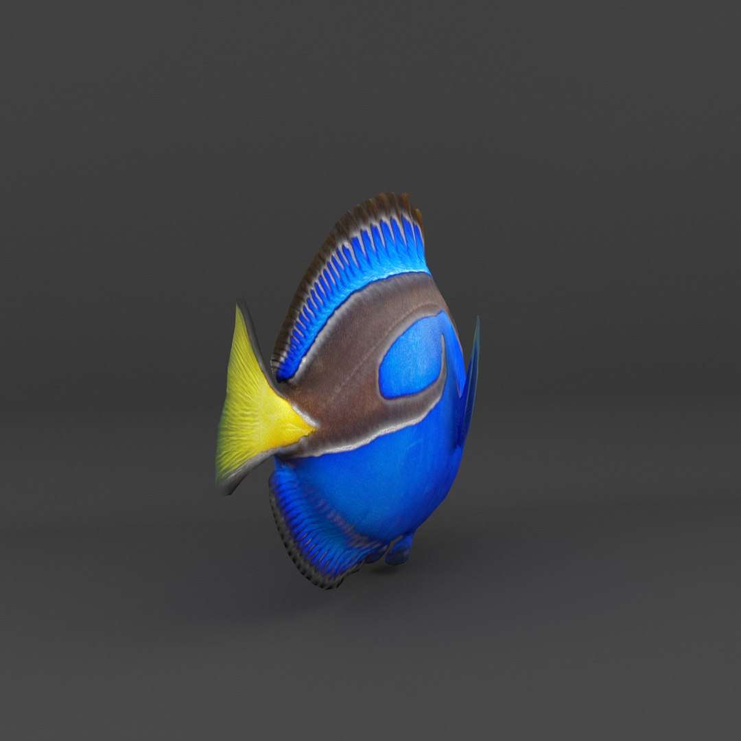 Maya Fish Animation
