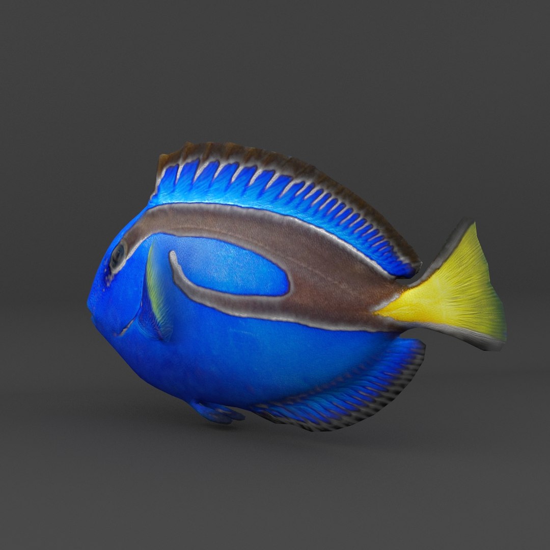 Maya Fish Animation