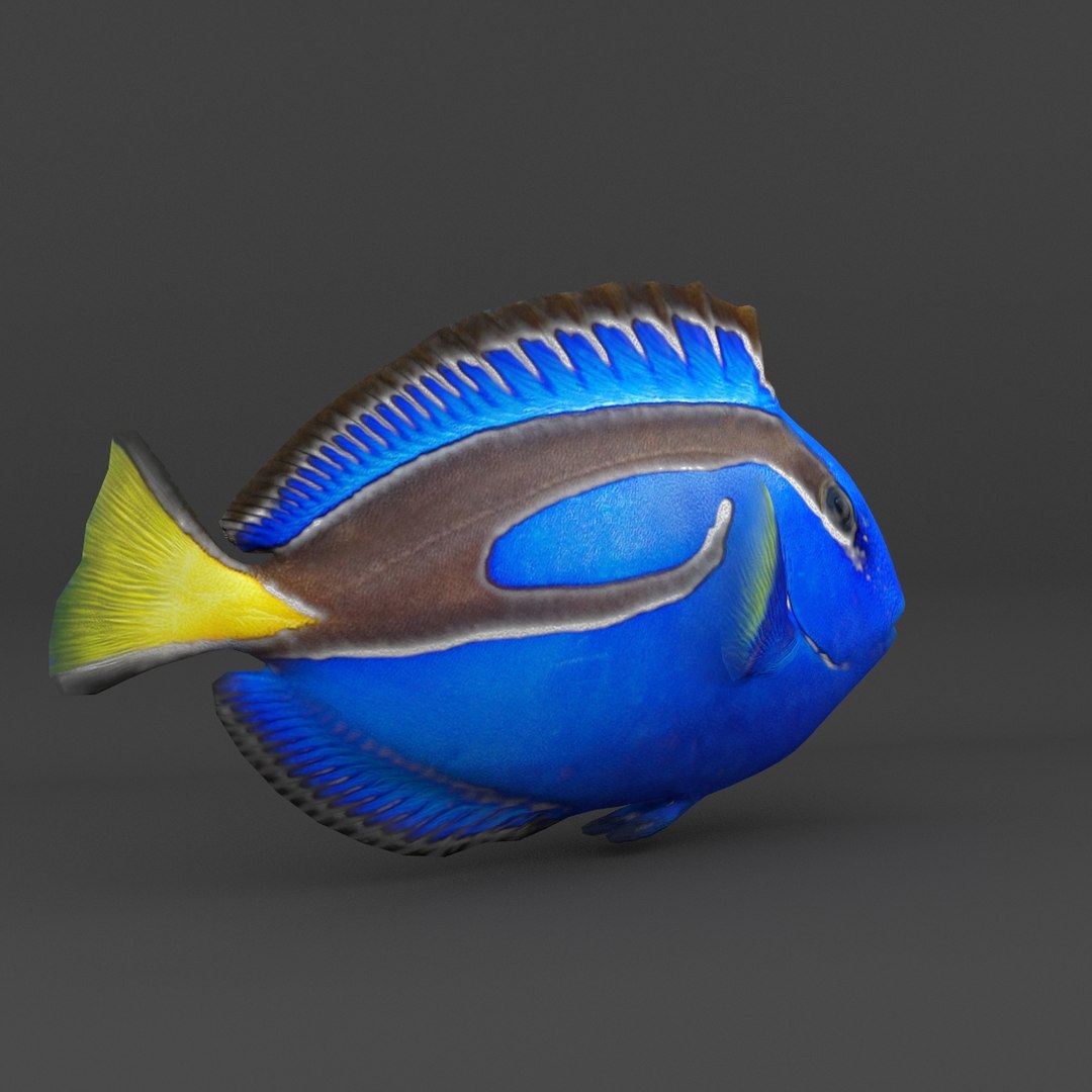 Maya Fish Animation